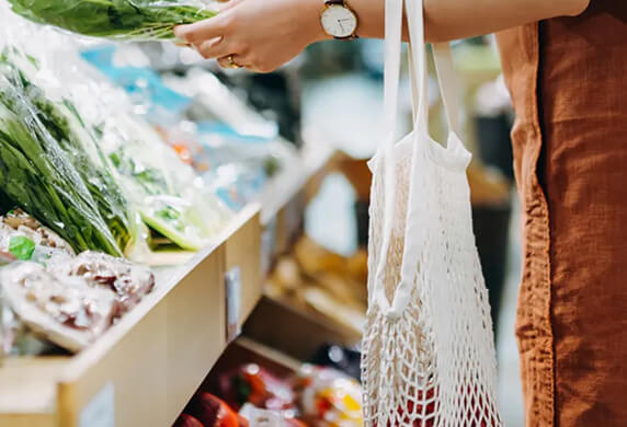 הפרויקט | Harama